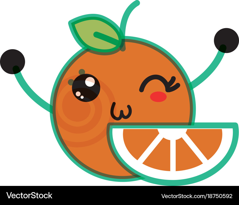 Isolated orange design Royalty Free Vector Image