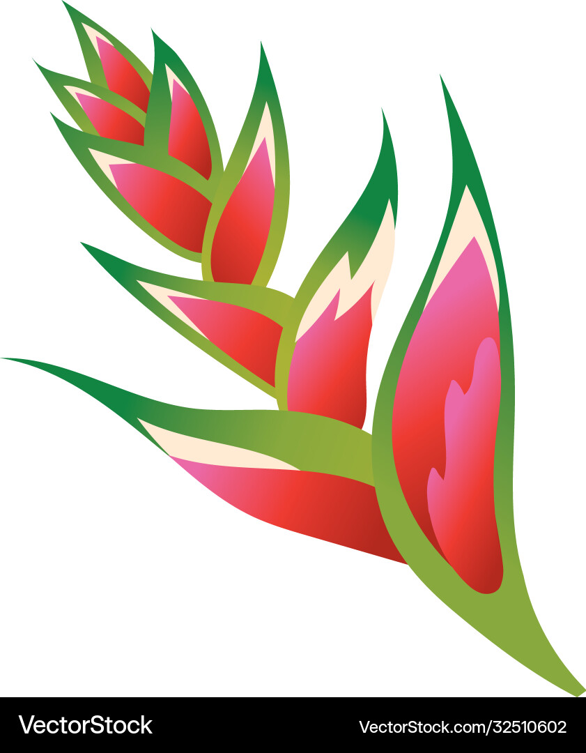 Beautiful heliconia flower gradient style icon Vector Image