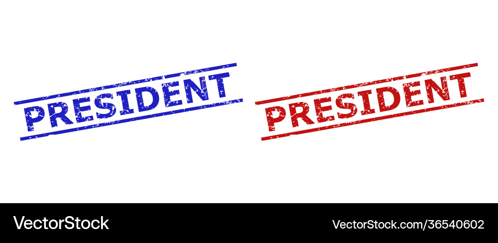 President stamp seals with grunged texture Vector Image