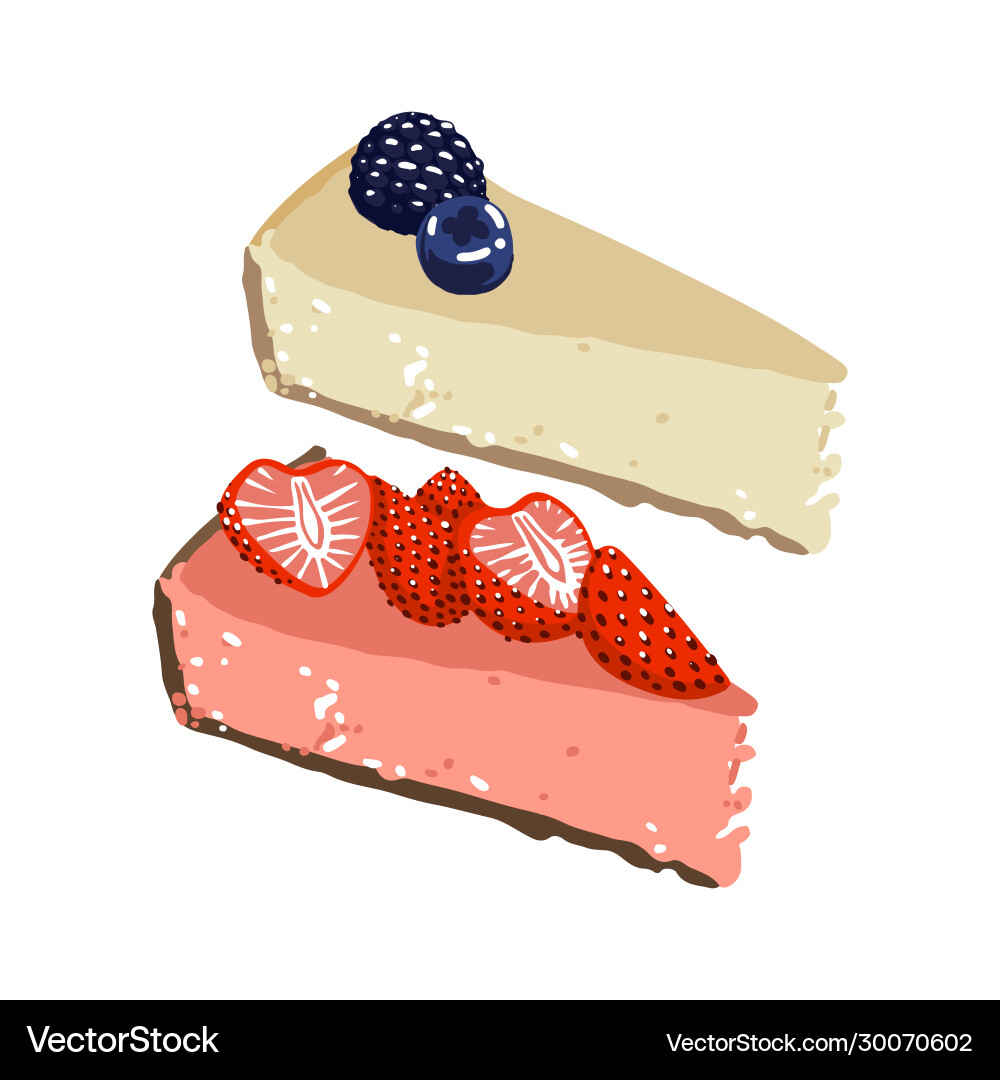 Two pieces cheesecake with strawberry and Vector Image
