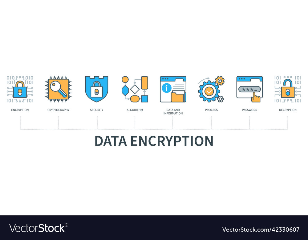Data encryption infographics in minimal flat line Vector Image