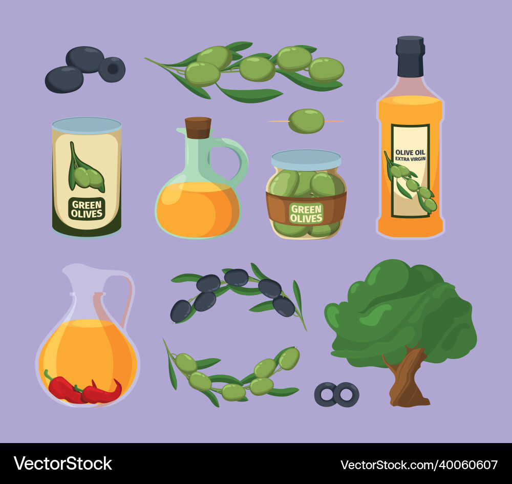 Olive plants healthy greece natural fresh Vector Image