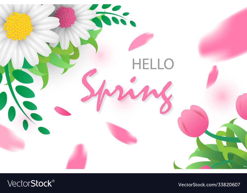 Spring background or banner design with lovely Vector Image