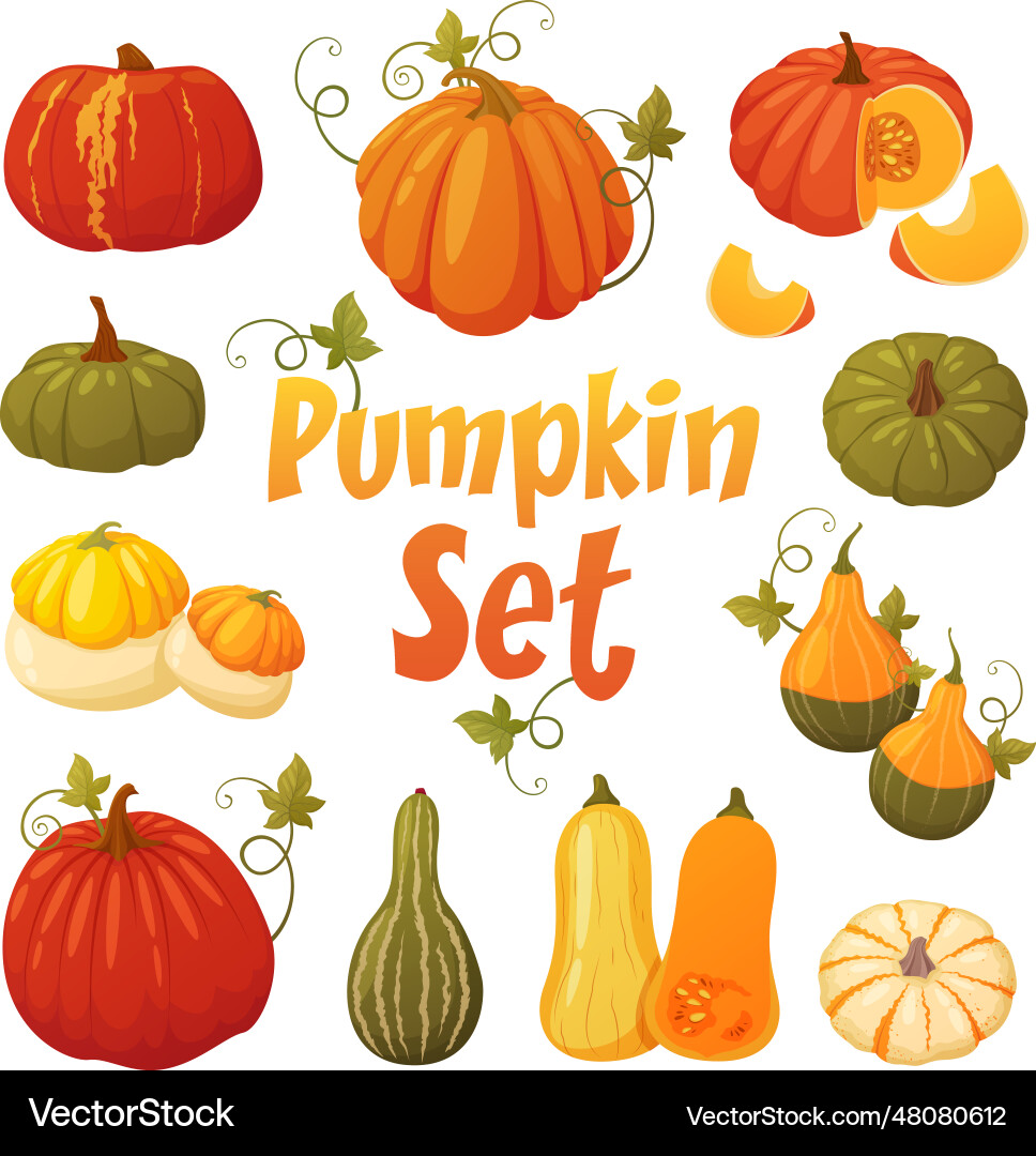 Colorful pumpkin set Royalty Free Vector Image