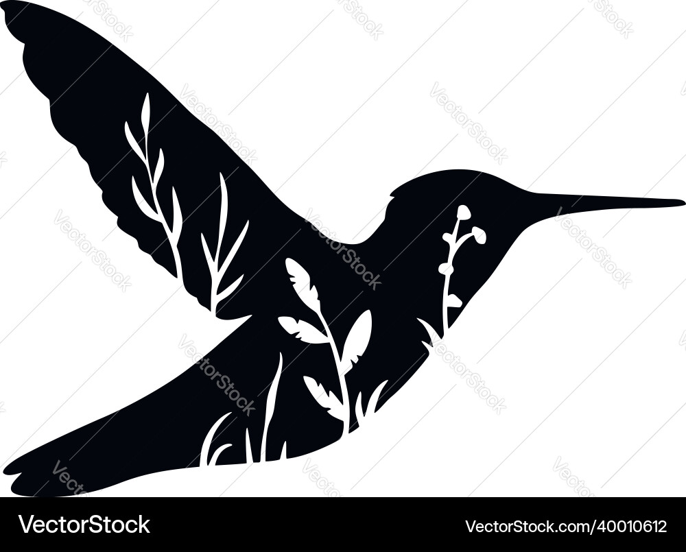 Hummingbird - stencil with floral design Vector Image