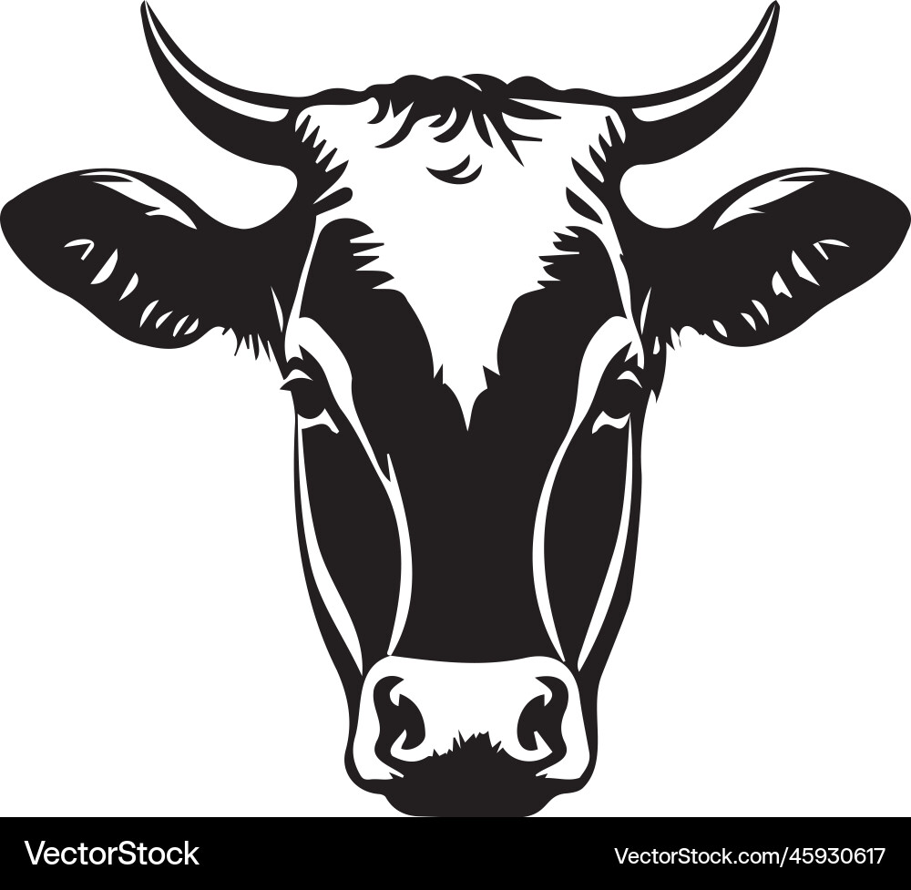 Black angus logo design template cow bull Vector Image