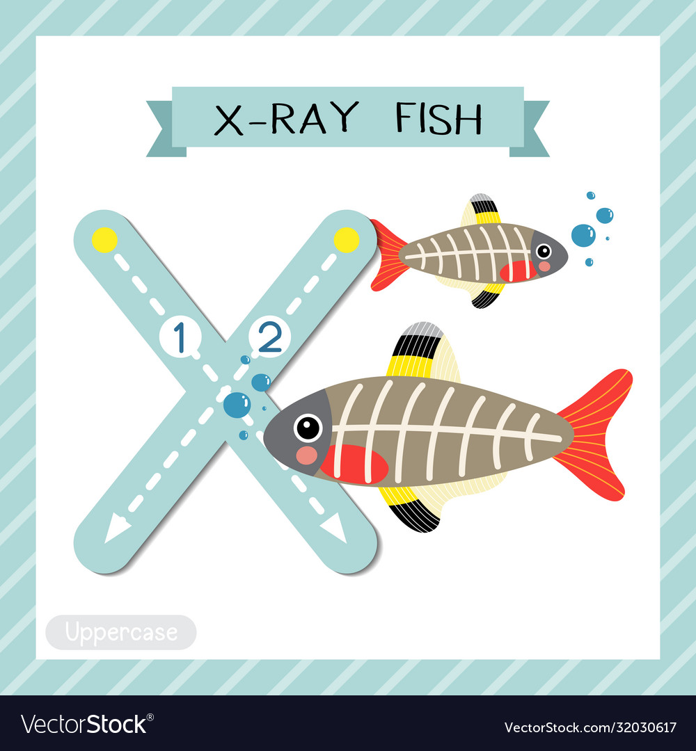 Letter x uppercase tracing x-ray fish Royalty Free Vector