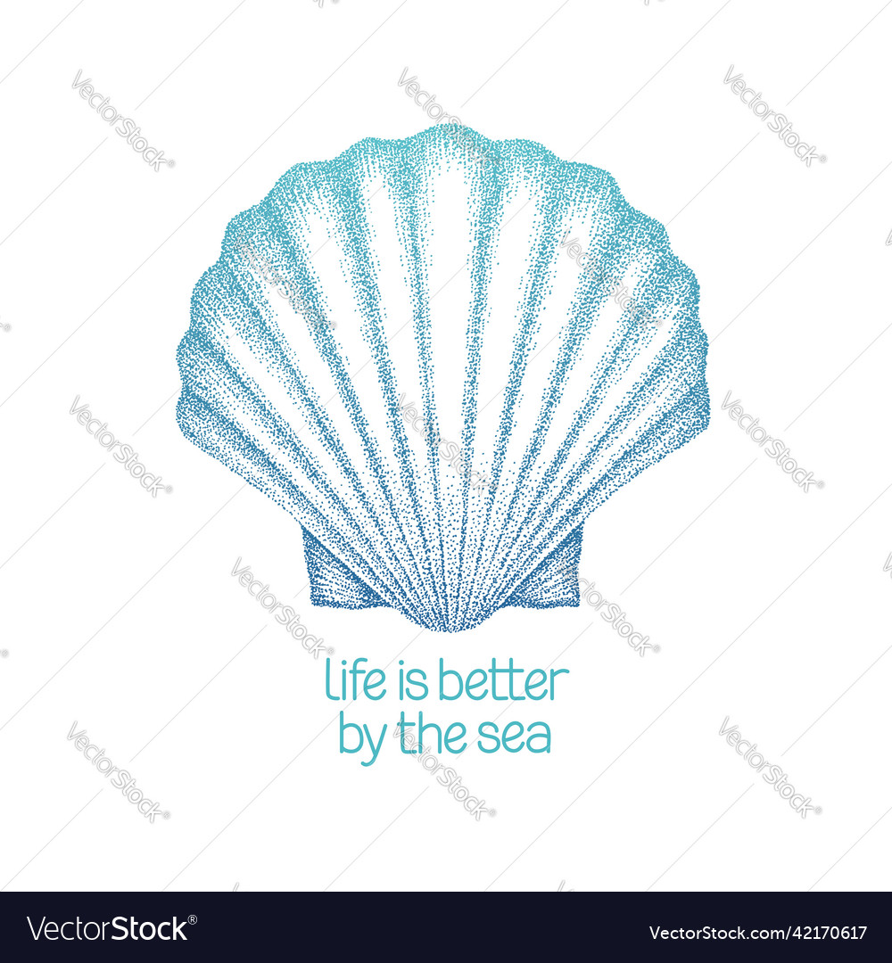 Scallop shell Royalty Free Vector Image - VectorStock