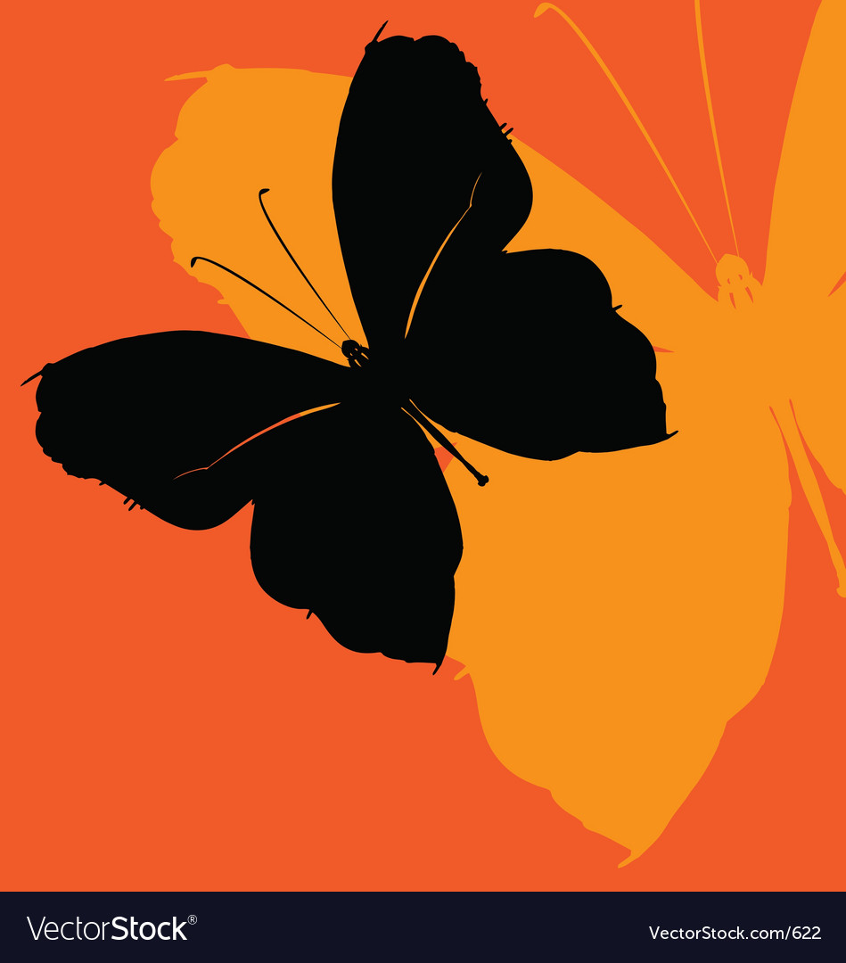 Butterfly effect Royalty Free Vector Image - VectorStock