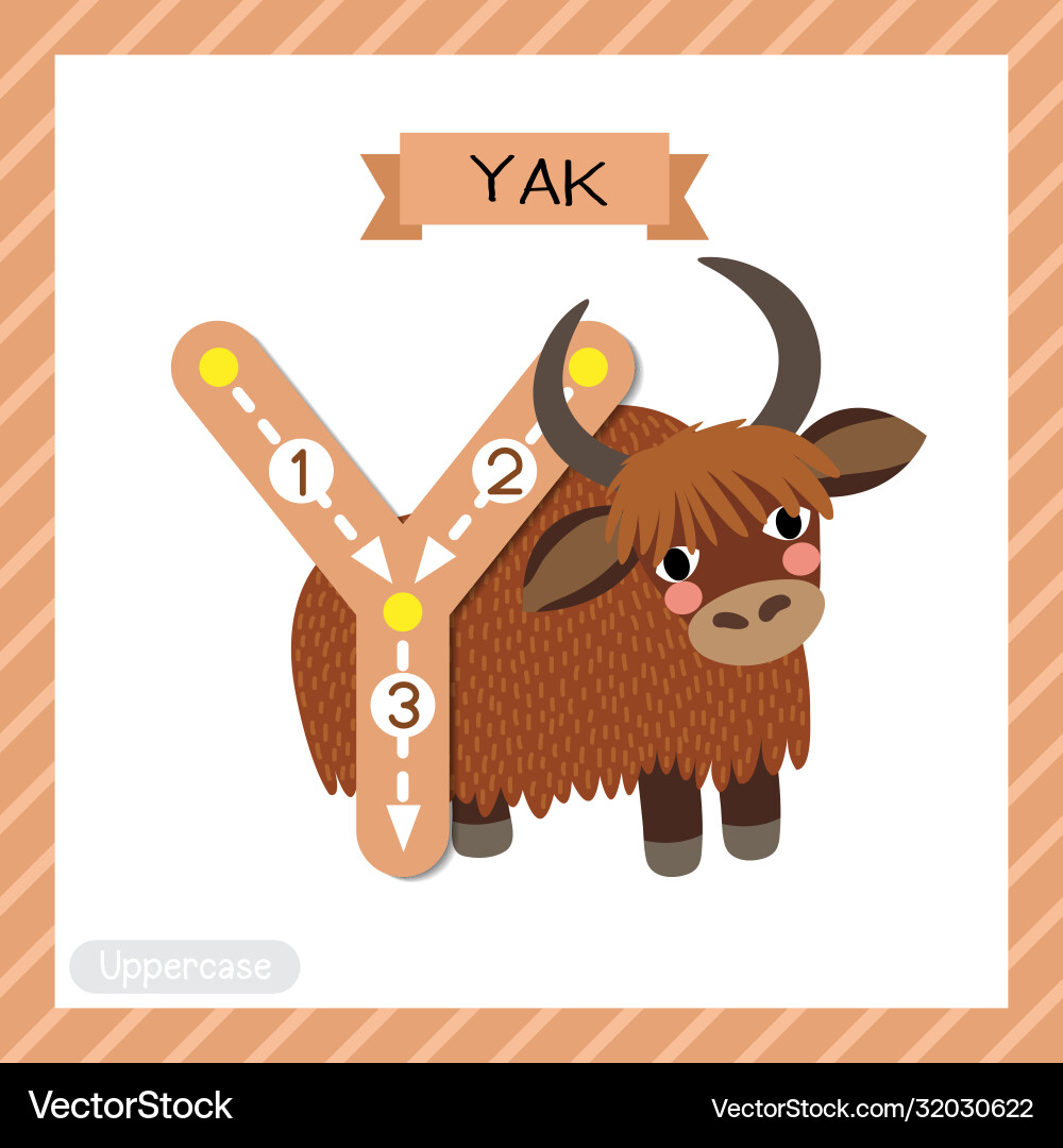 Letter y uppercase tracing yak Royalty Free Vector Image