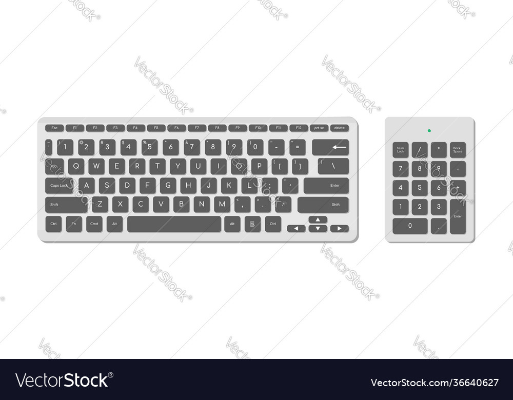 A set computer keyboards basic and numeric Vector Image