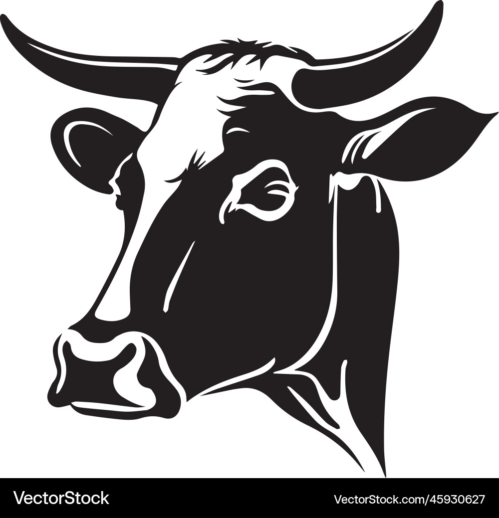 Black angus logo design template cow bull Vector Image