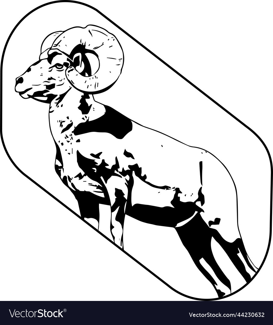 Bighorn sheep flat Royalty Free Vector Image - VectorStock Bighorn sheep flat Royalty Free Vector Image - VectorStock