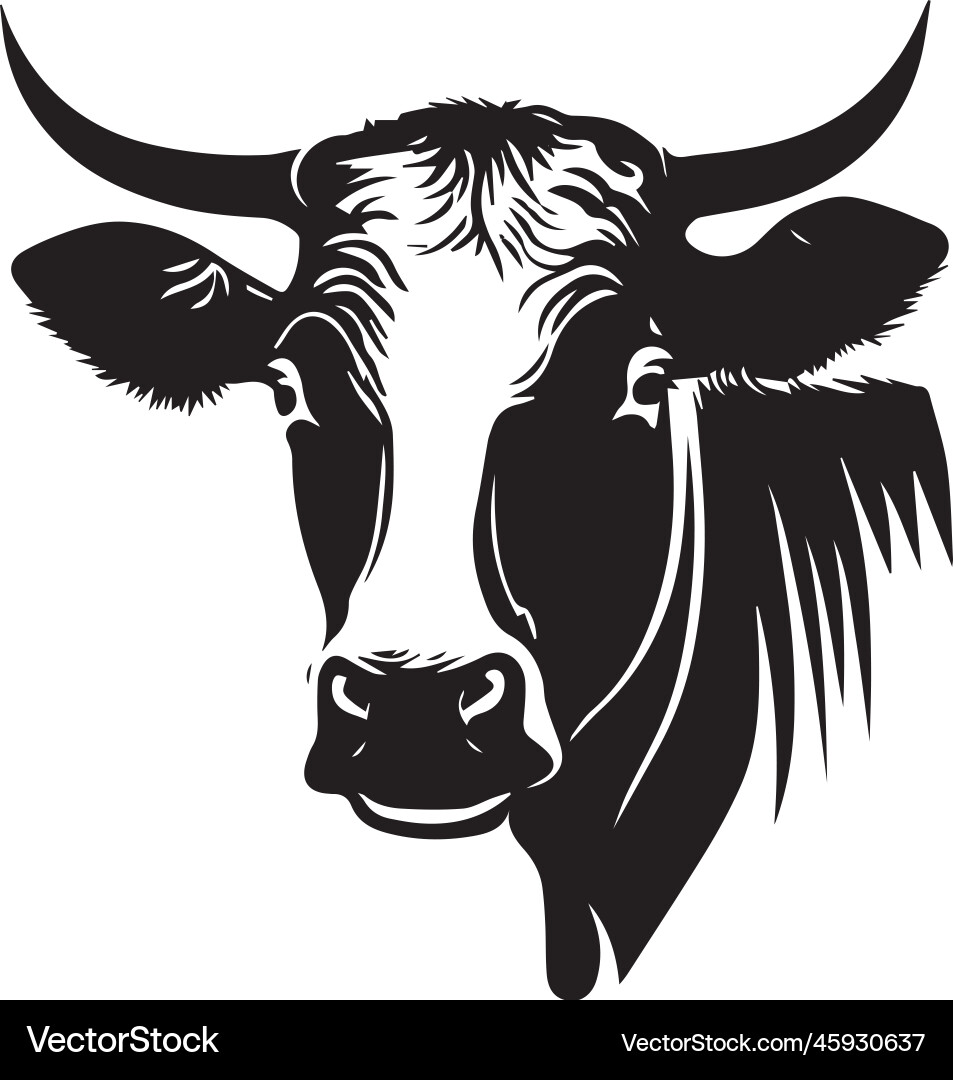 Black angus logo design template cow bull Vector Image