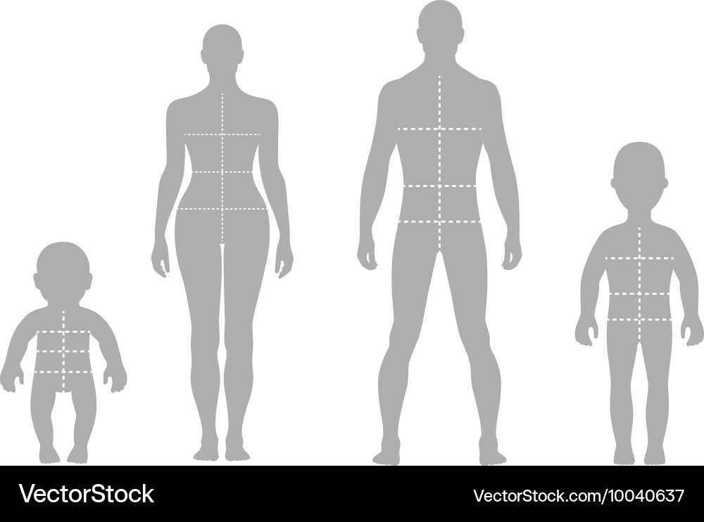 Fashion people template figure Royalty Free Vector Image