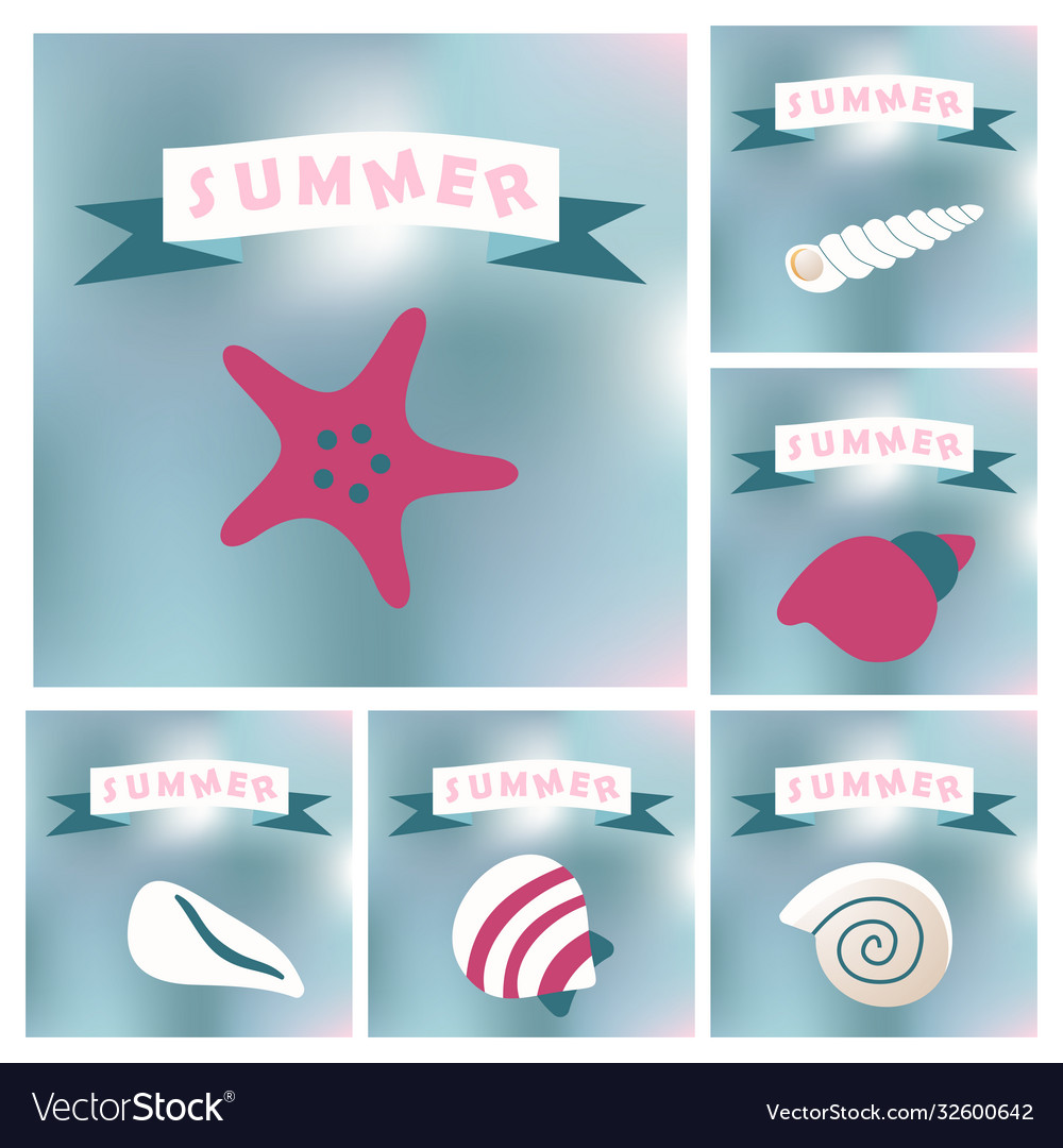 Sea shells and star Royalty Free Vector Image - VectorStock