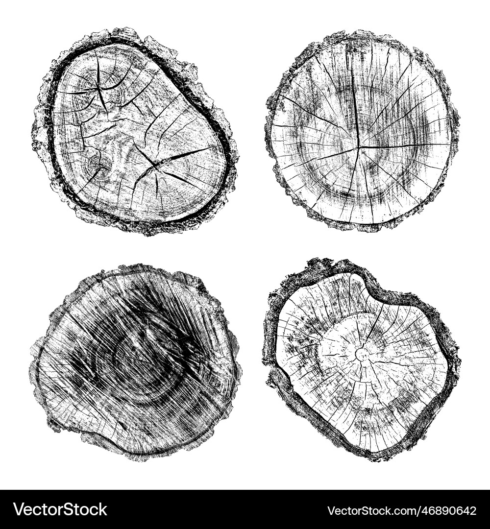 Set of distressed wood texture Royalty Free Vector Image