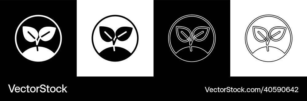 Set sprout icon isolated on black and white Vector Image