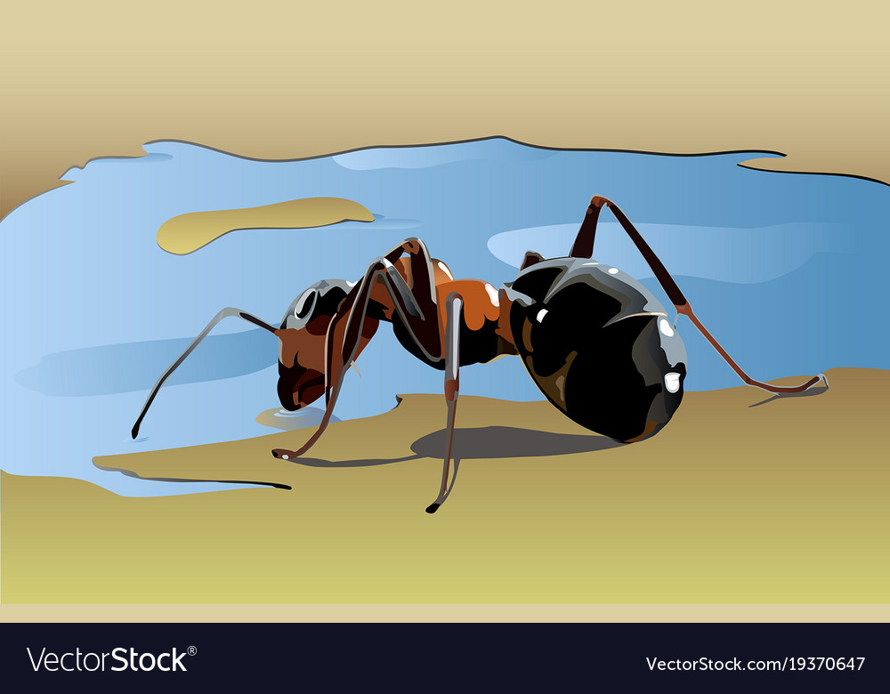 Ant Royalty Free Vector Image - VectorStock