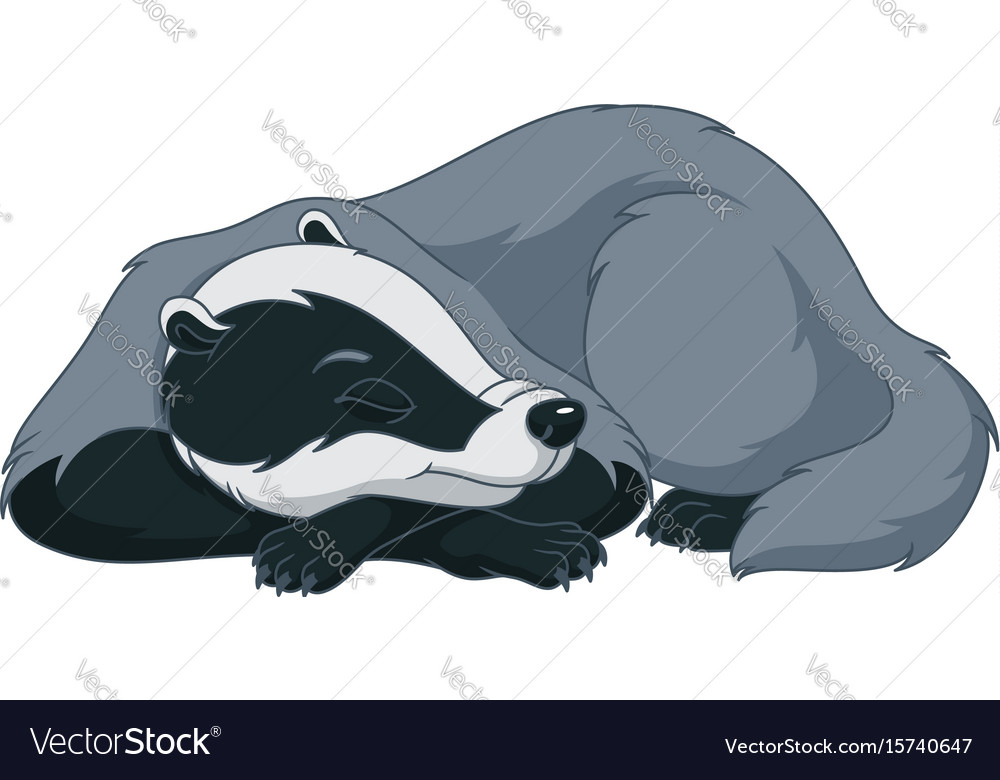 Badger Royalty Free Vector Image - VectorStock