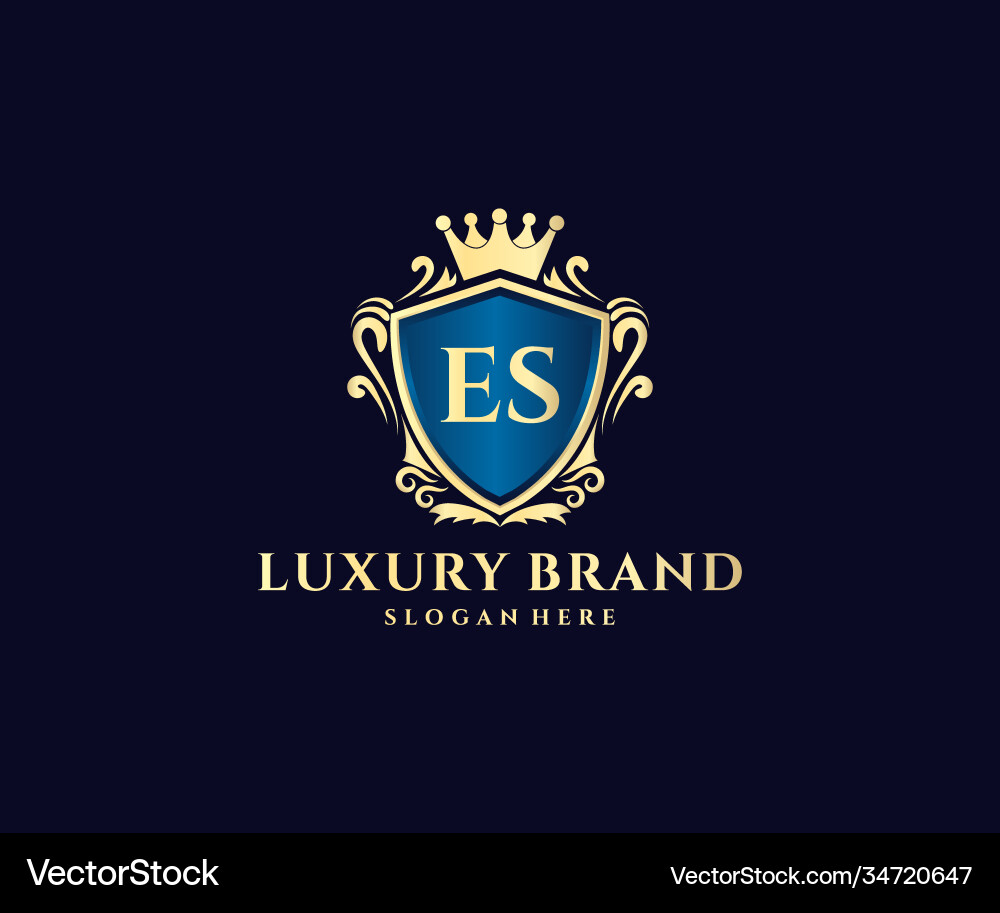 Es initial letter gold calligraphic feminine Vector Image