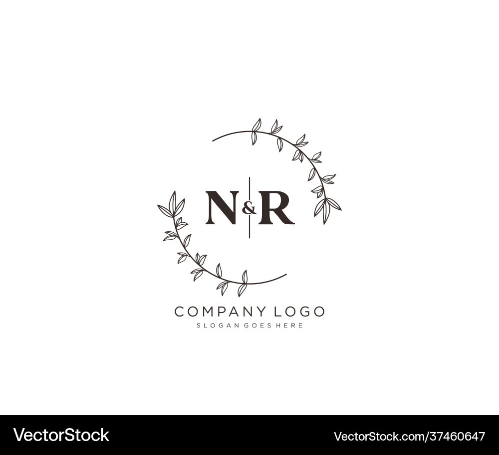 Initial nr letters beautiful floral feminine Vector Image
