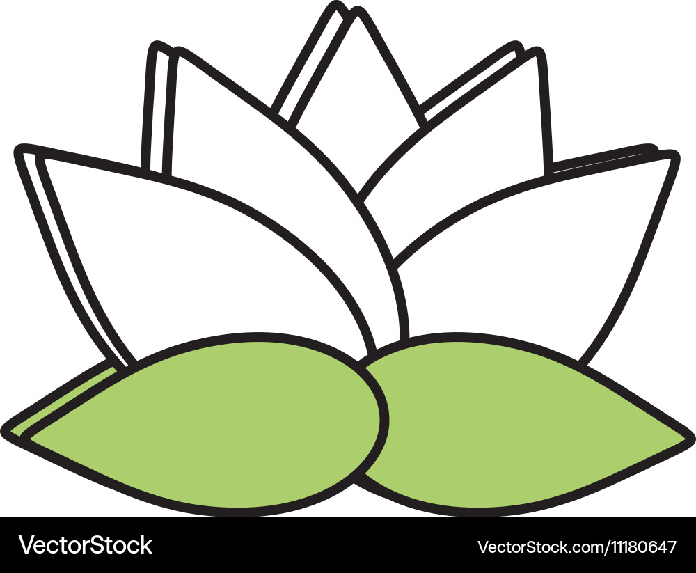 Spa flower lotus isolated icon Royalty Free Vector Image