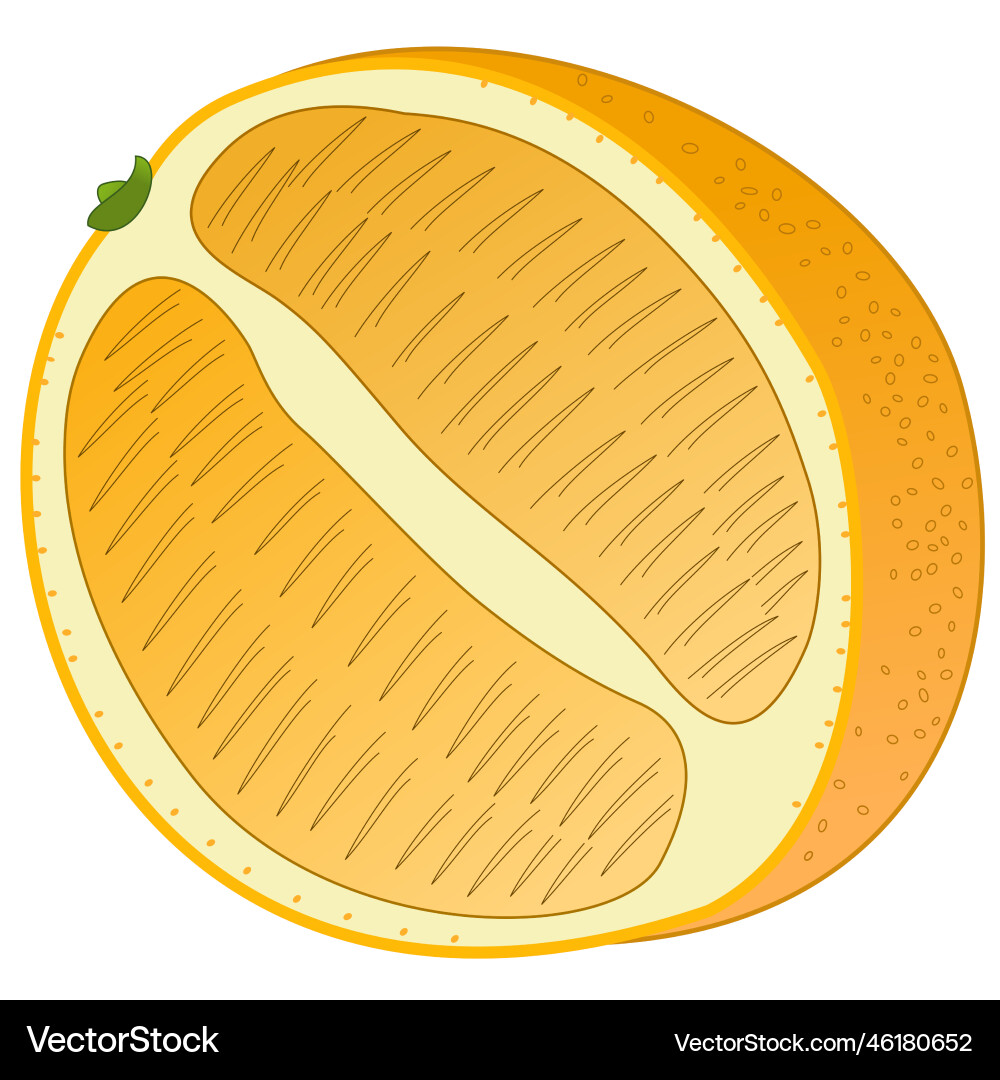 Symbolic representation of half an orange Vector Image