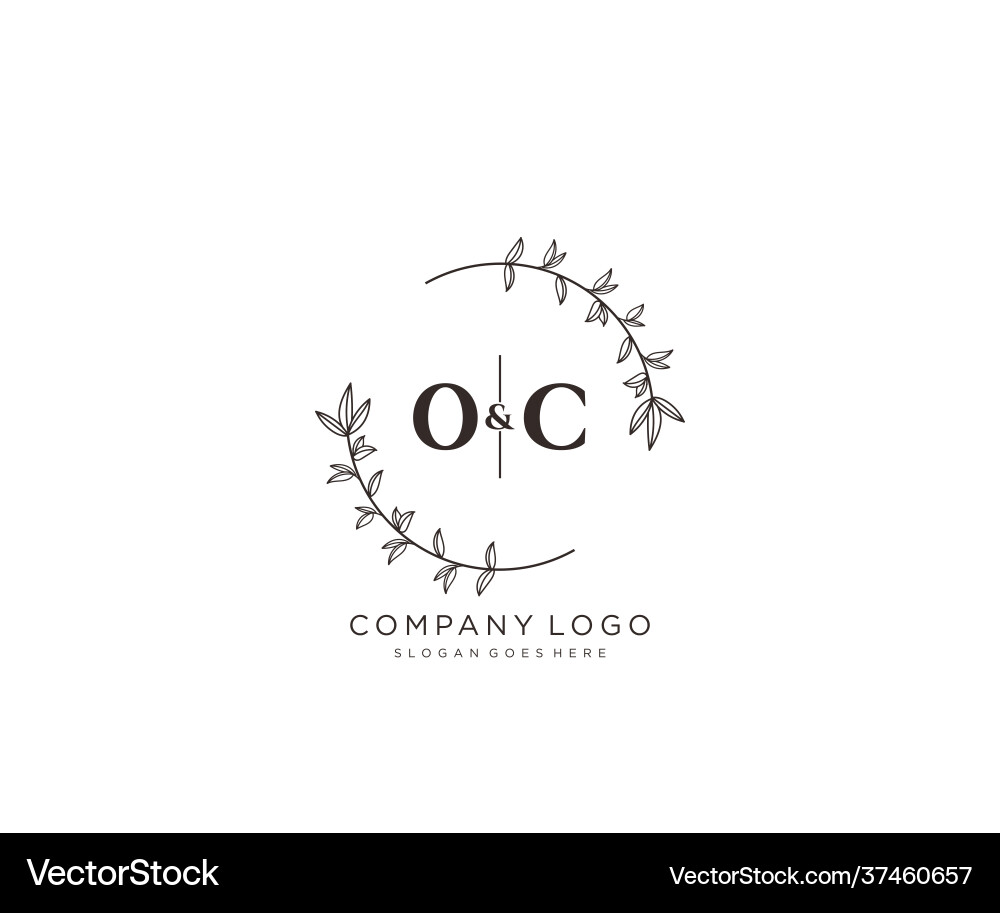 Initial oc letters beautiful floral feminine Vector Image