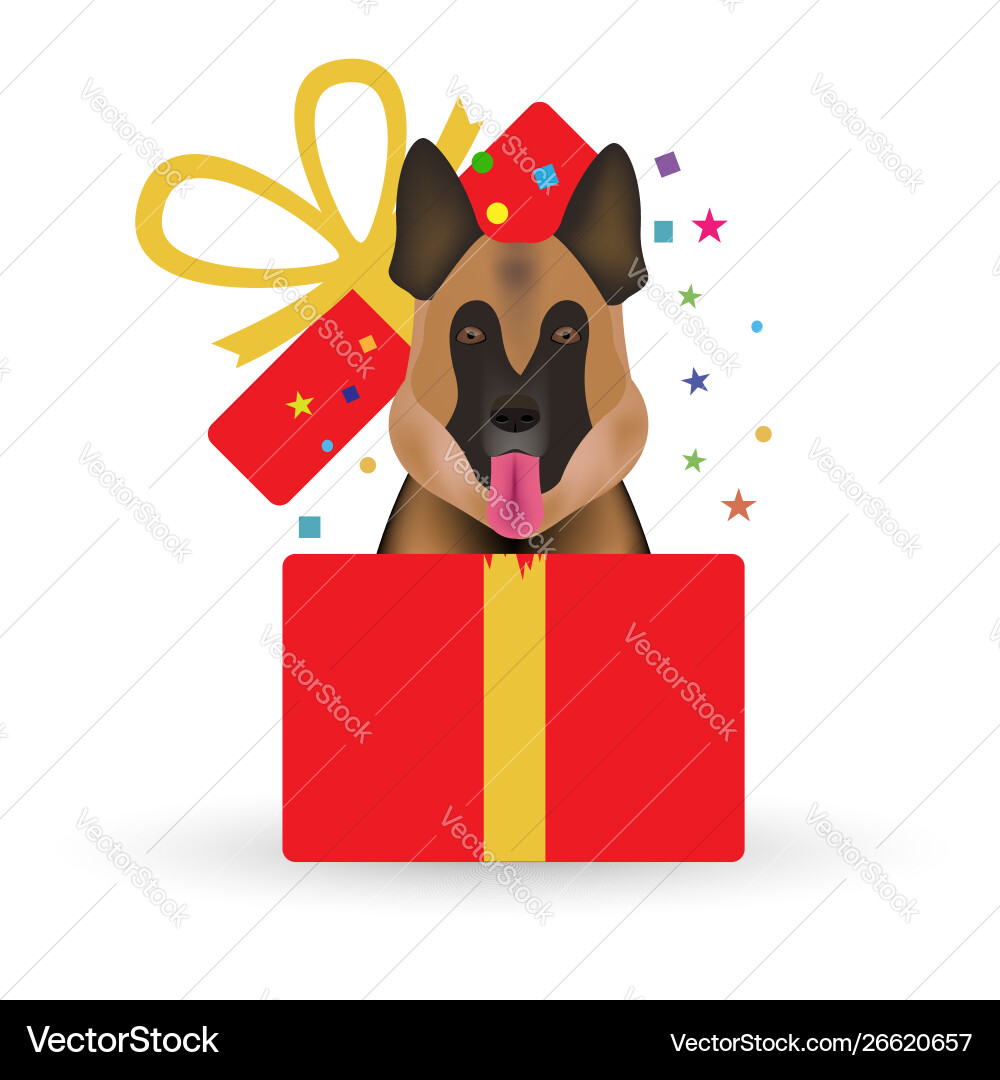 Opened gift box and dog - a symbol new Royalty Free Vector