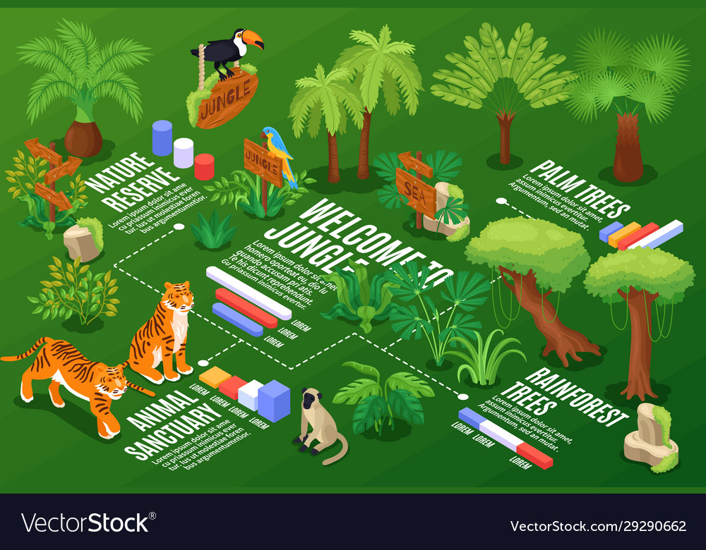 Isometric jungle flowchart composition Royalty Free Vector