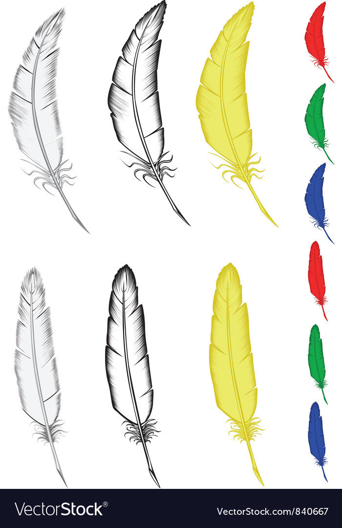 Feather Royalty Free Vector Image - VectorStock