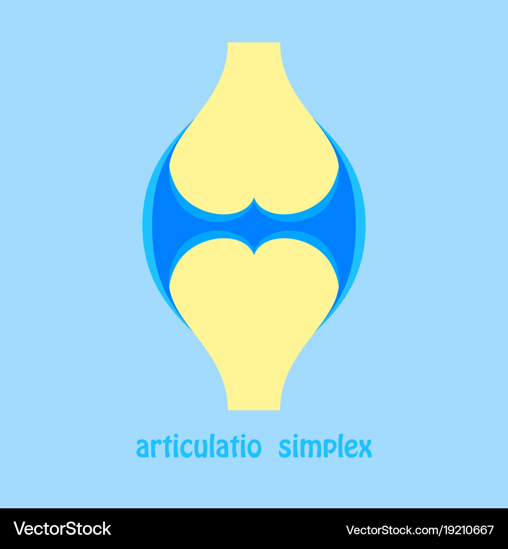 Knee joint health care icon flat Royalty Free Vector Image