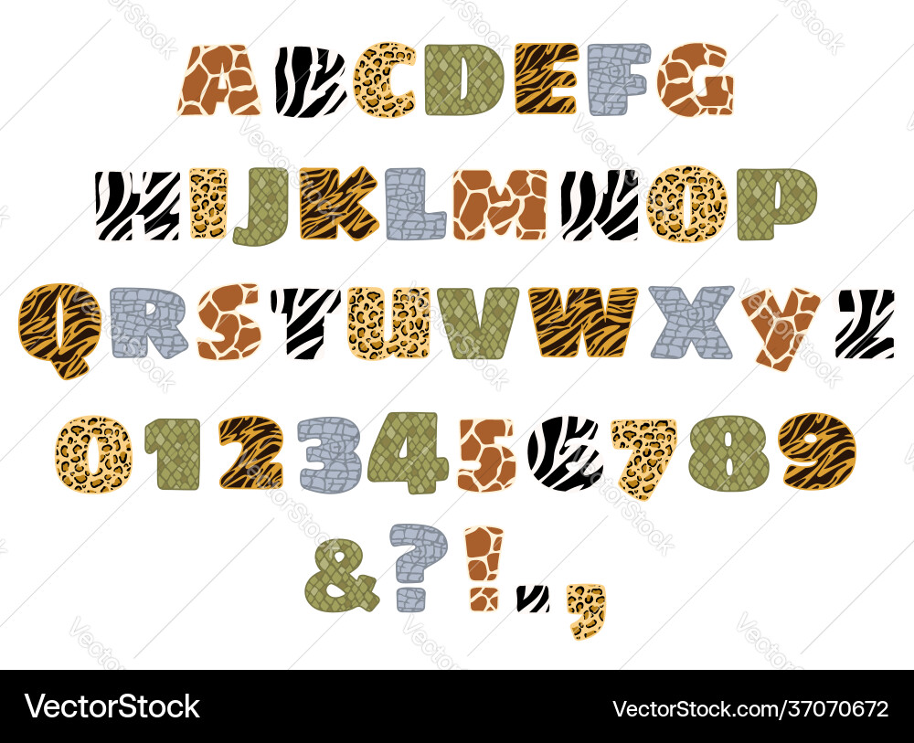 Handdrawn alphabet letters and numbers set Vector Image
