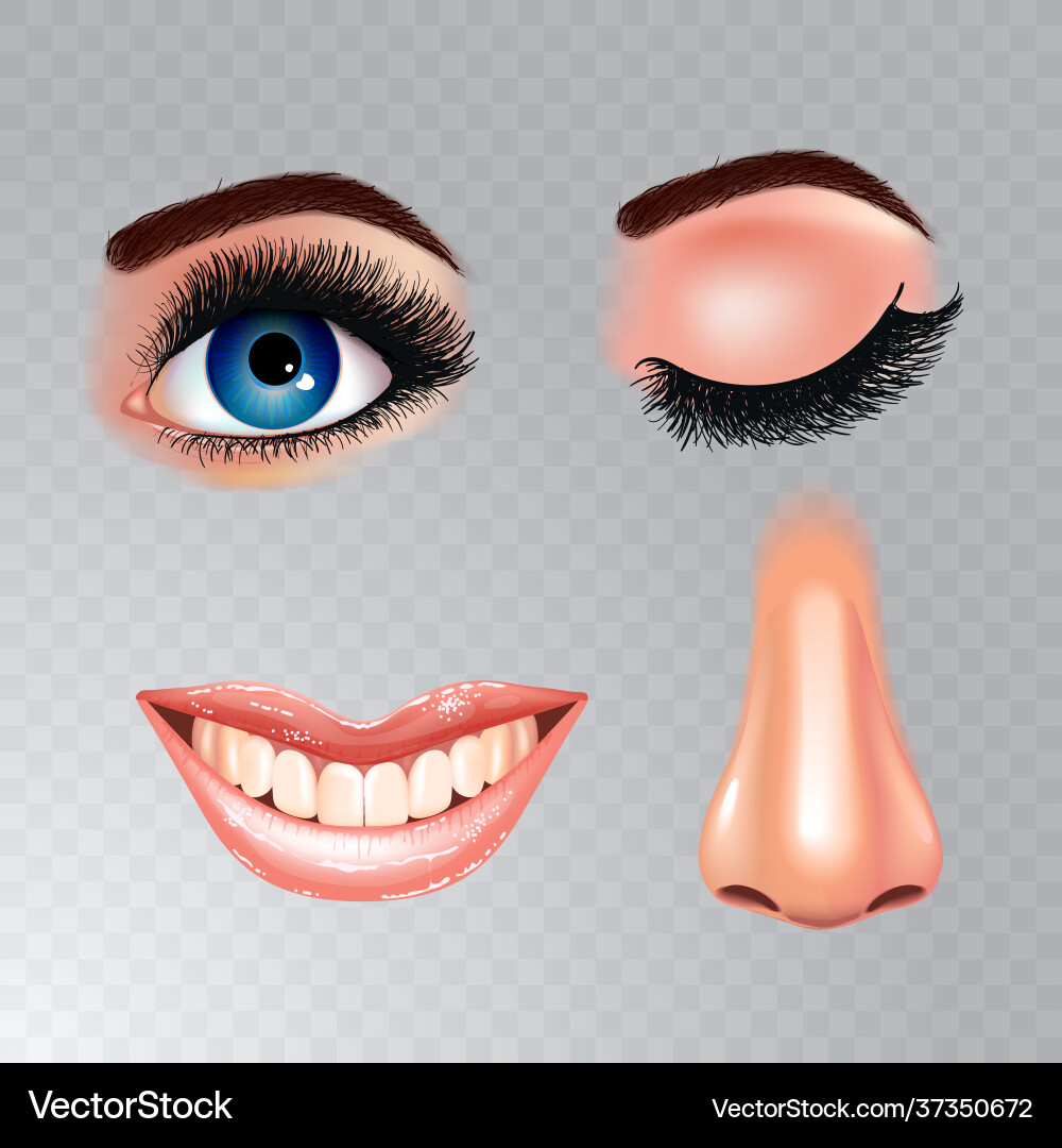 Set beautiful female eyes with extended Royalty Free Vector