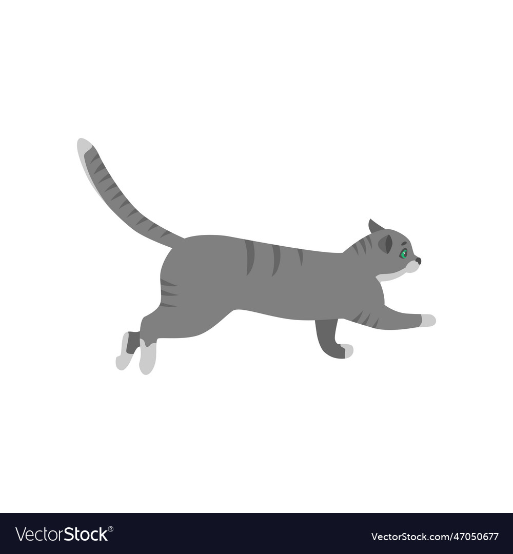Cute cat cartoon character walking Royalty Free Vector Image
