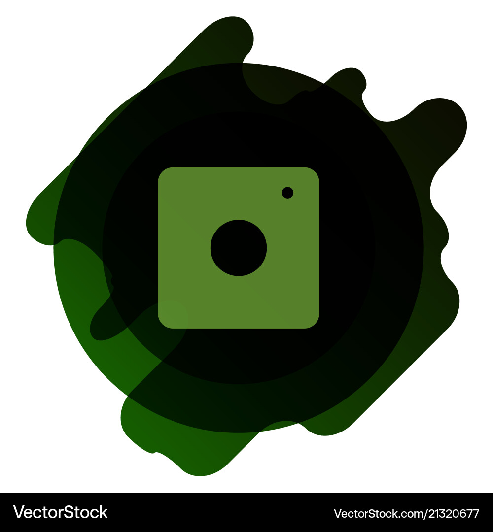 Web icon of modern lineart camera digital Vector Image