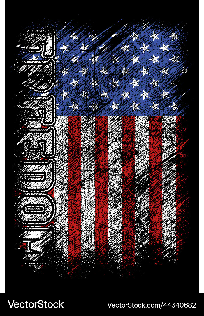 Grunge usa flag text freedom design Royalty Free Vector
