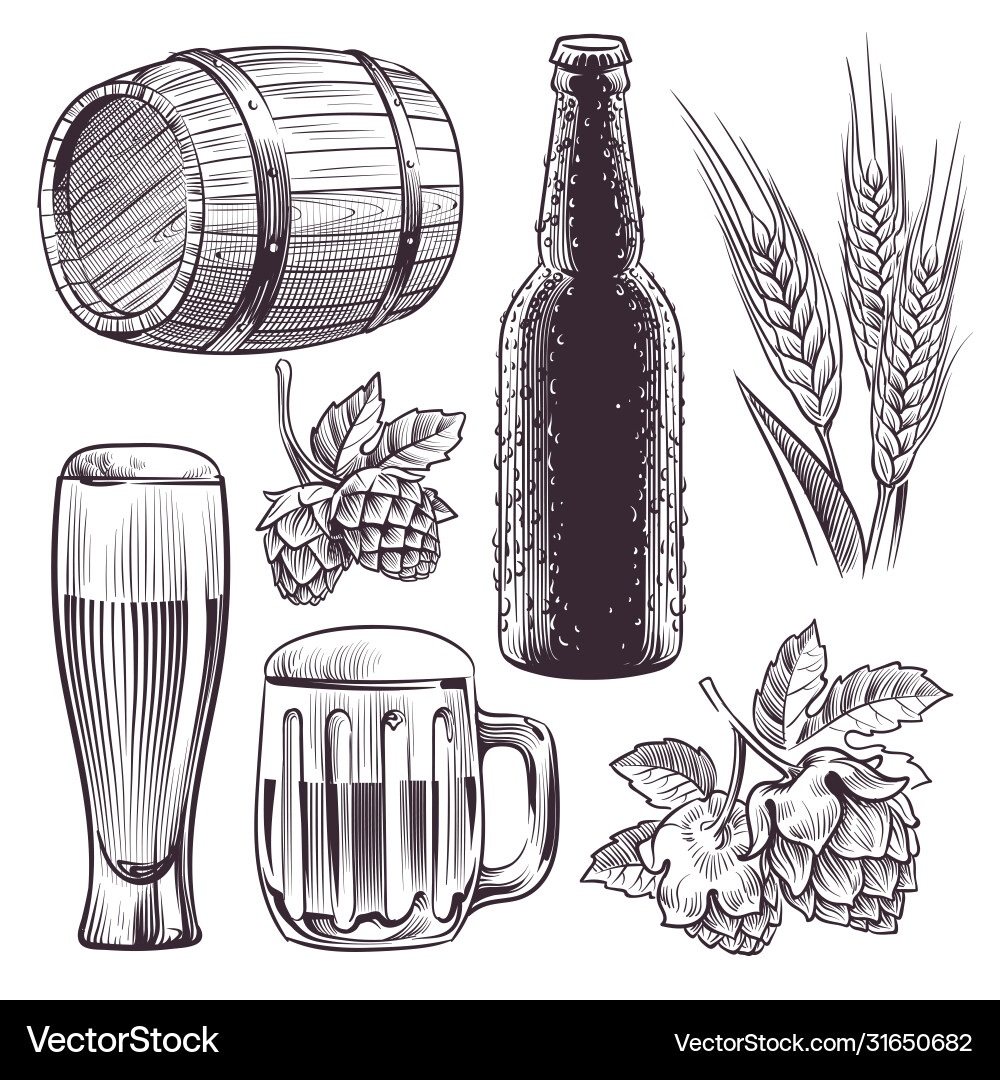 Hand drawn beer mug barrel and beer Royalty Free Vector