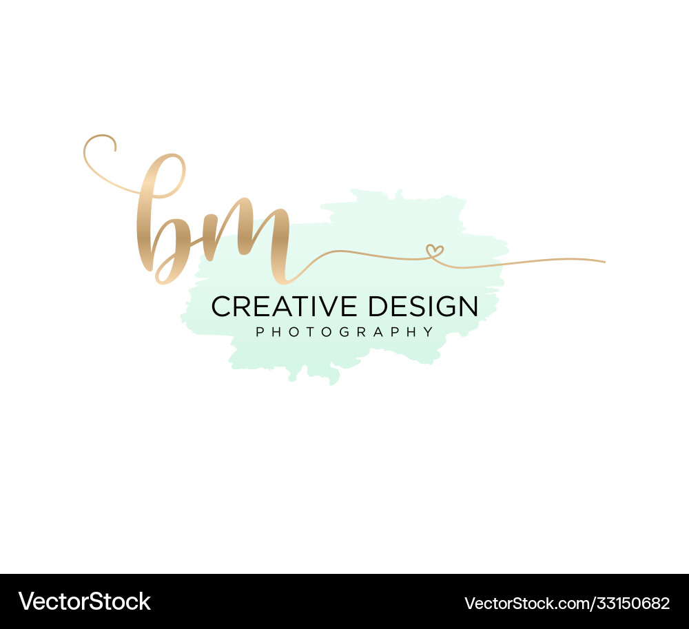 Initial bm handwriting logo with brush template Vector Image