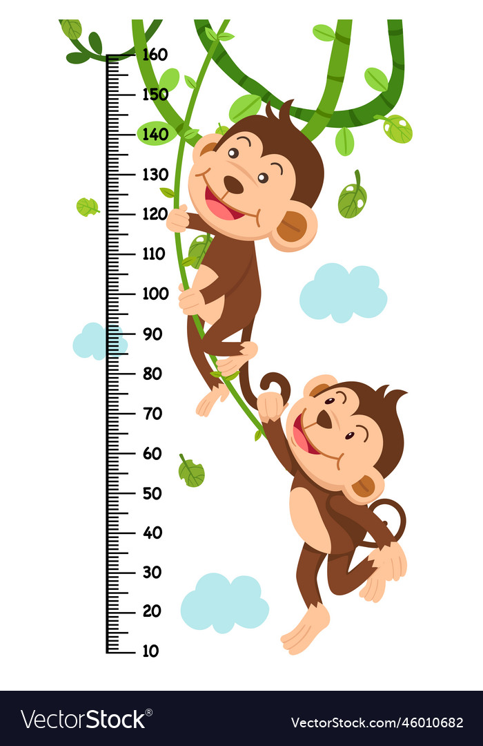 Meter wall with monkey Royalty Free Vector Image