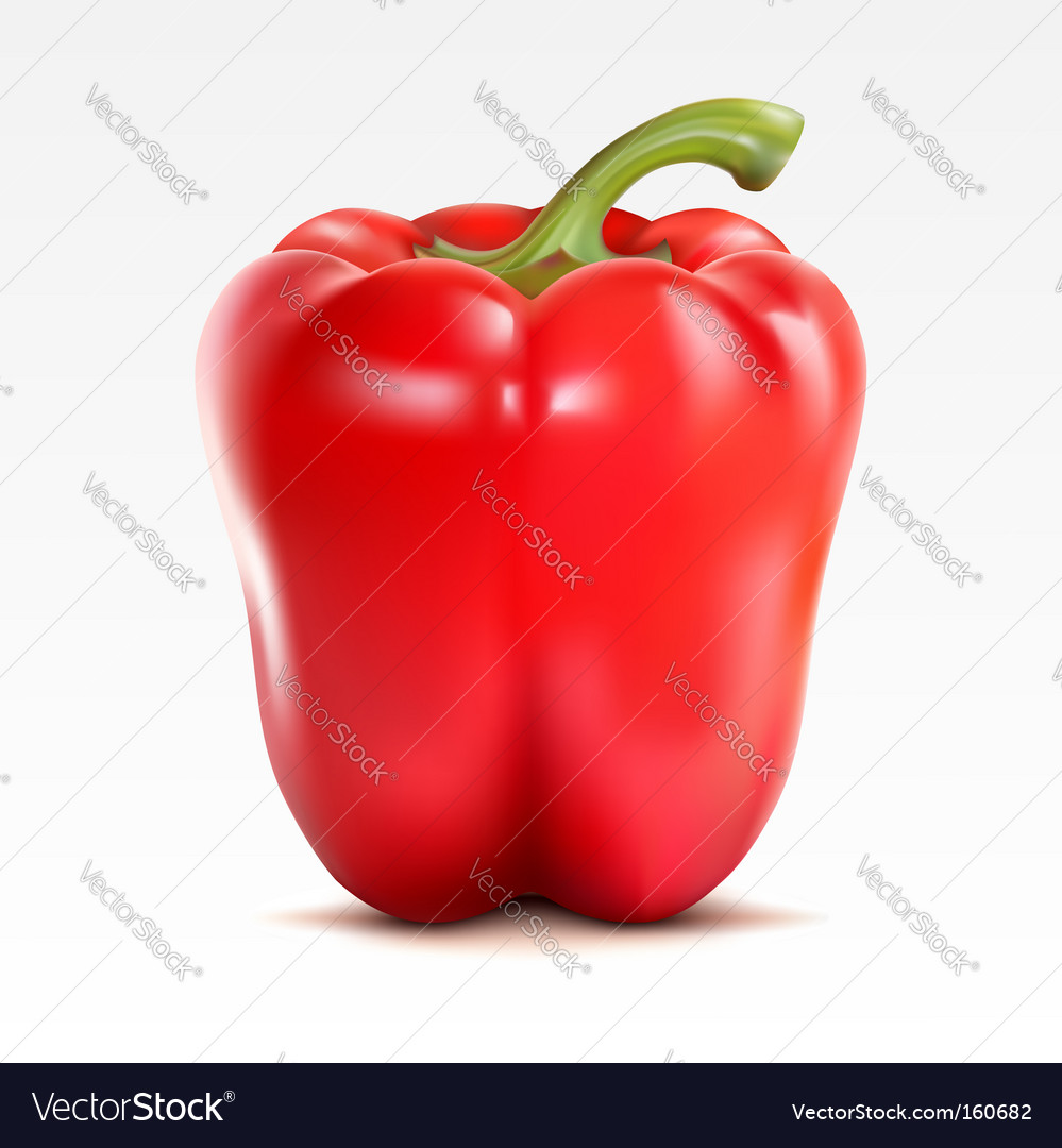 Pepper Royalty Free Vector Image - VectorStock