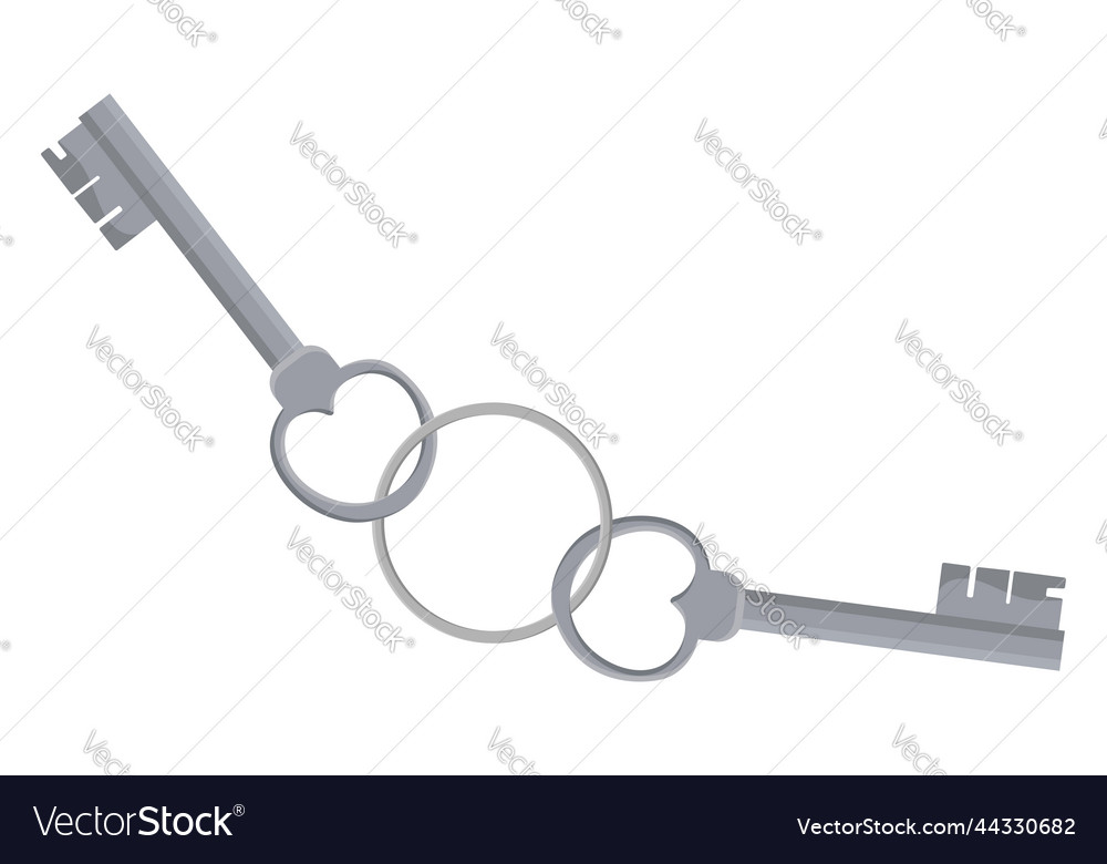 Two keys on a white background Royalty Free Vector Image