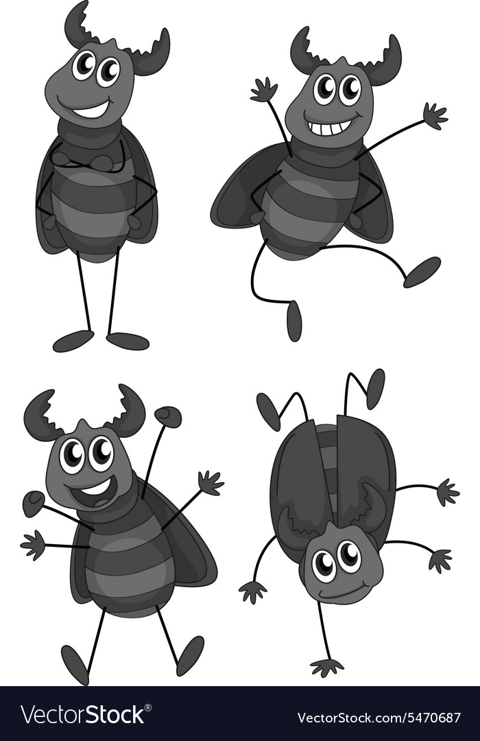Insect Royalty Free Vector Image - VectorStock Insect Royalty Free Vector Image - VectorStock