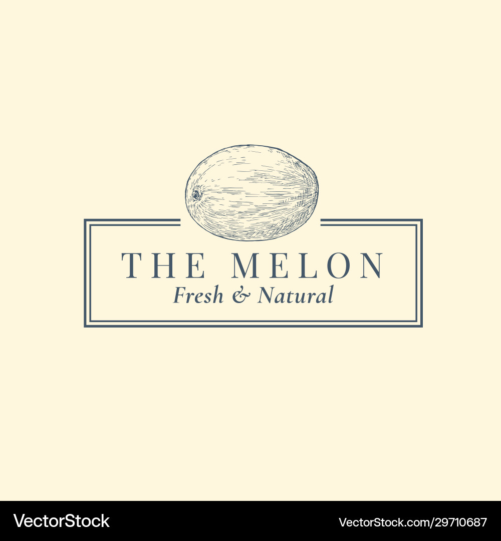 Melon abstract sign symbol or logo Royalty Free Vector Image