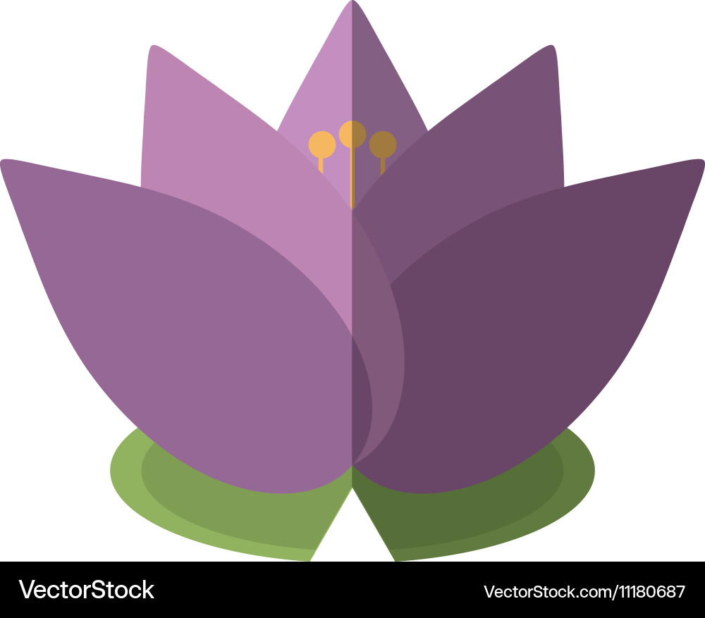 Spa flower lotus isolated icon Royalty Free Vector Image