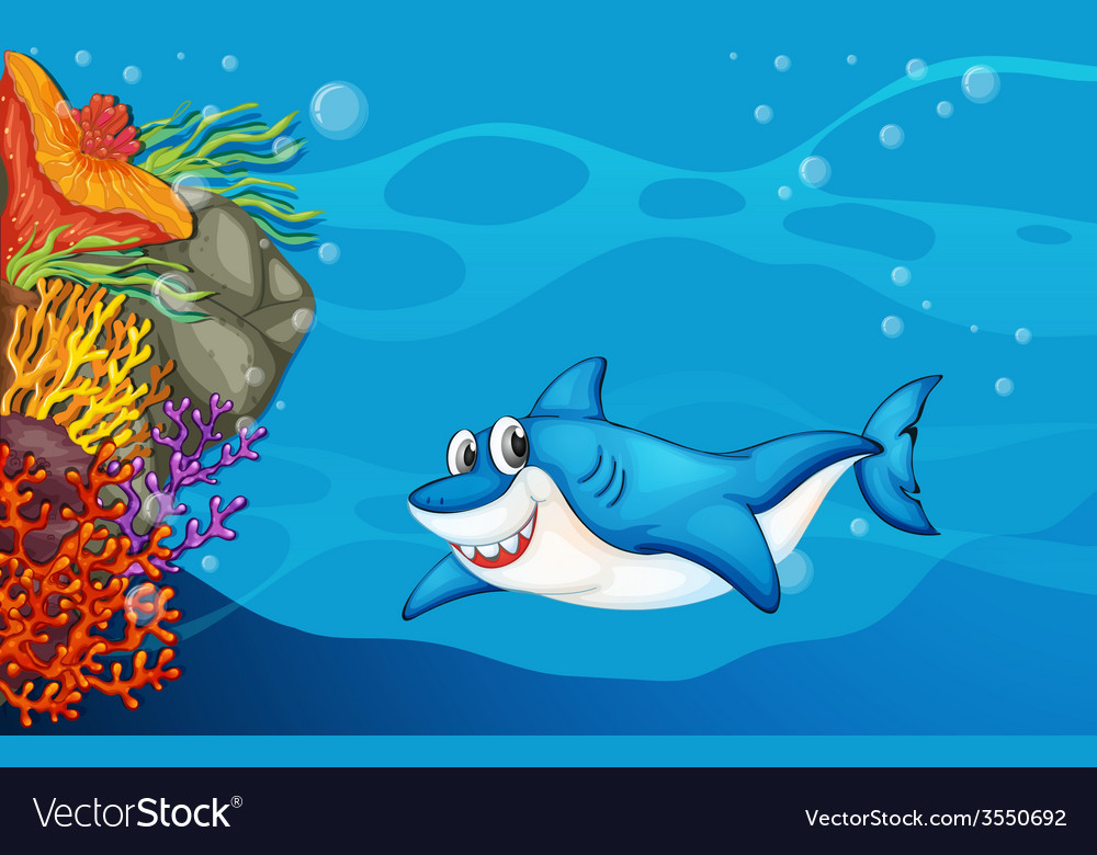 A shark under the sea Royalty Free Vector Image