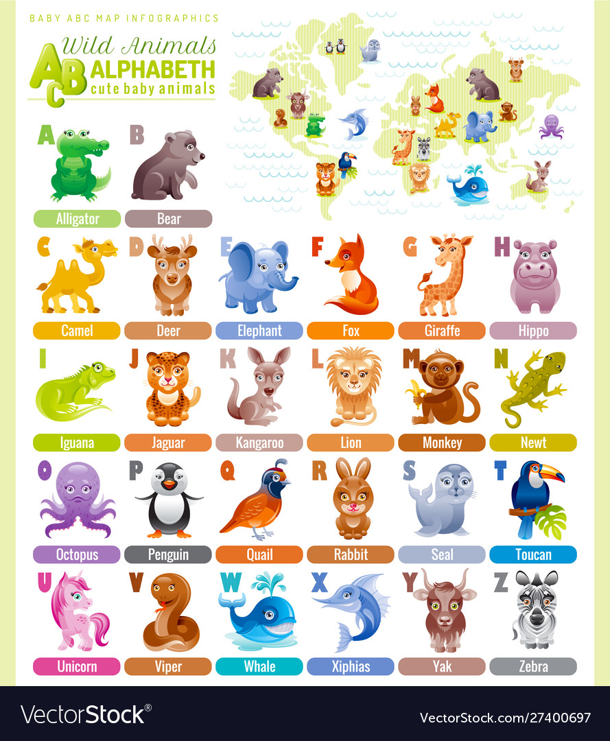 Alphabet wildlife infographics wild animal sea Vector Image