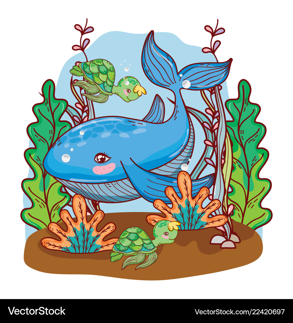 Aquatic marine life Royalty Free Vector Image - VectorStock