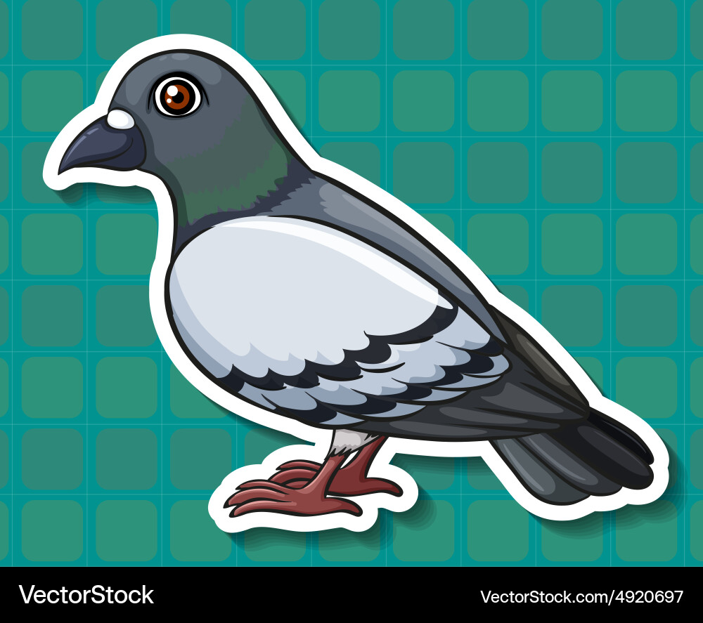 Pigeon Royalty Free Vector Image - VectorStock